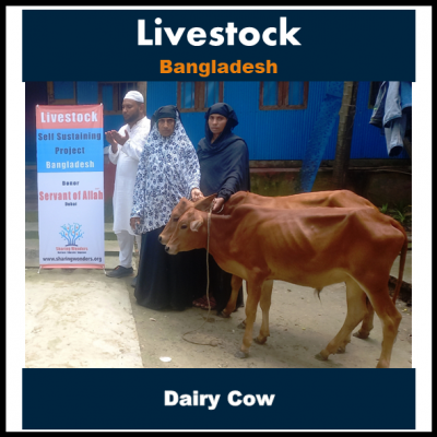 Livestock Humanitarian Charity